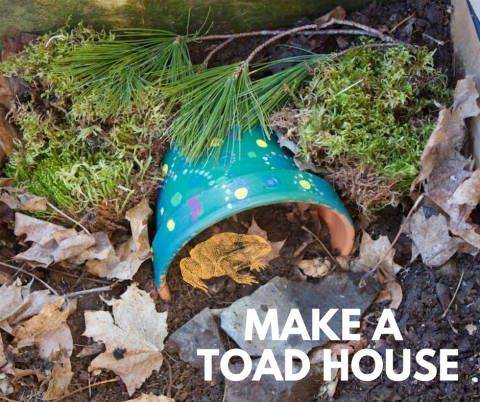 How to Make a Toad House | Women for Healthy Rural Living : Milbridge ...